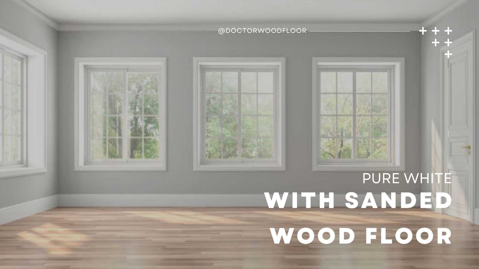 Full Spectrum White : Enhance Interior And Wood Floor